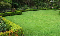 Ryan Lawn & Tree | Lawn Fertilization & Weed Control