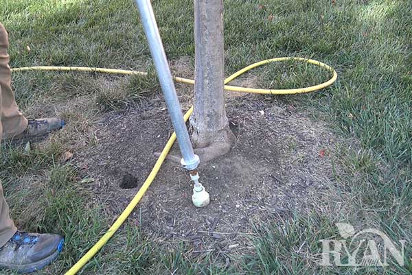 What You Should Know About Fertilizing Trees And Shrubs | RYAN