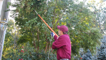 Lawn, Tree, and Irrigation Services by Ryan Lawn & Tree