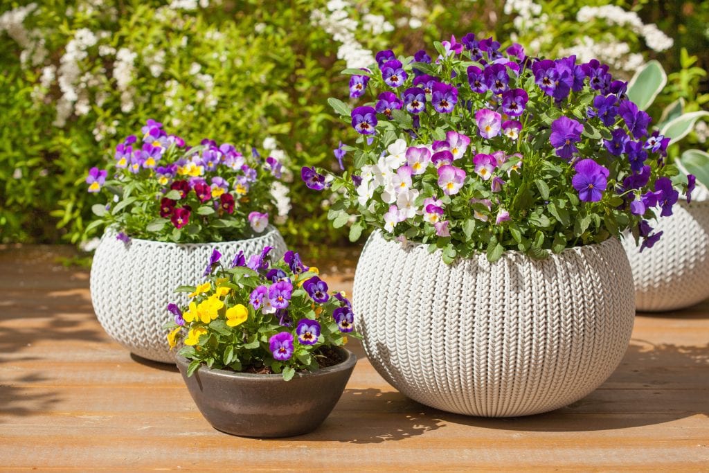 4 Popular Container Garden Ideas | RYAN Lawn & Tree
