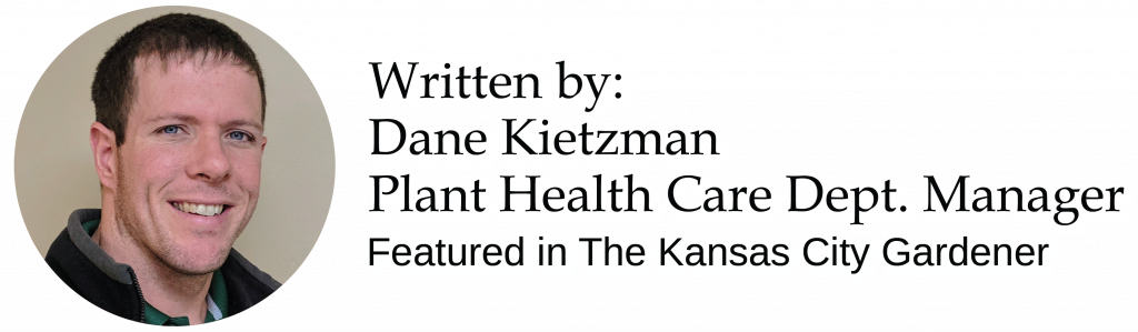 Media - RYAN Lawn & Tree