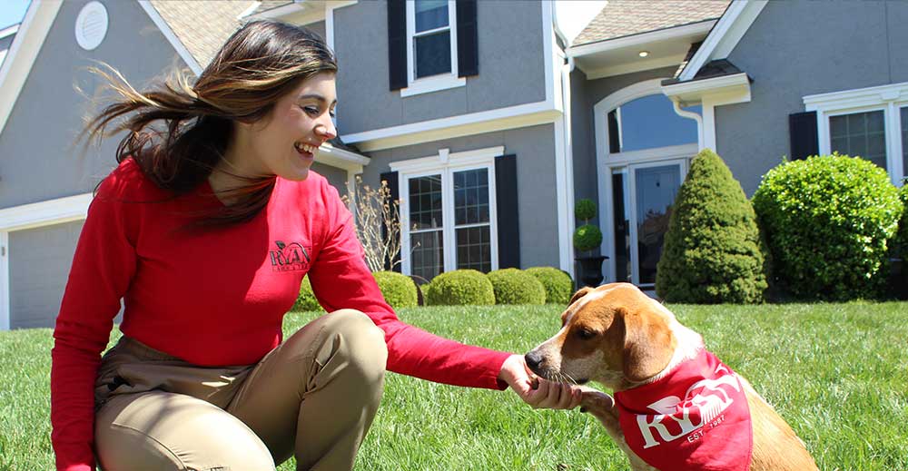 Lawn Pest Insect Control Jobs, Rodent Technician Career | RYAN