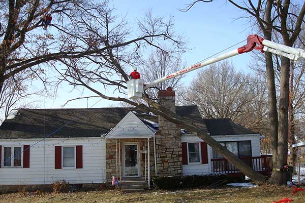 Tulsa Irrigation, Tree & Plant Care, Landscaping Services | RYAN