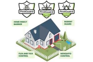 Common Lawn Pests: Prevention, Control, & Management | RYAN