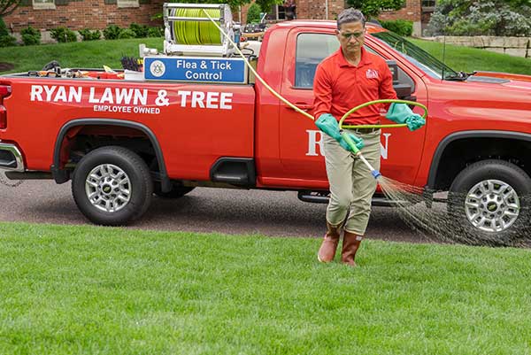 Common Lawn Pests: Prevention, Control, & Management | RYAN