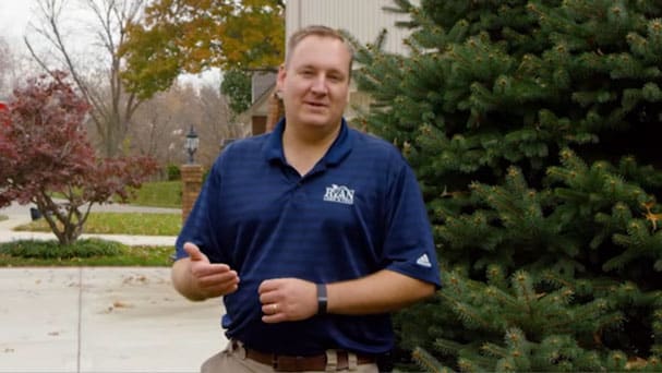 Kansas City Tree Service- Ryan Lawn & Tree | Tree Removal & Trimming