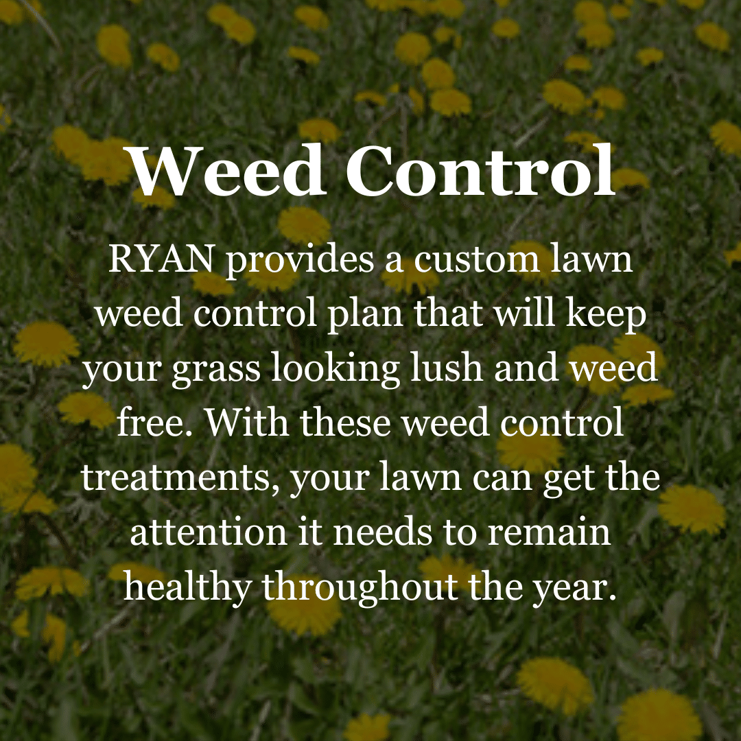 Header Form - Lawn - RYAN Lawn & Tree