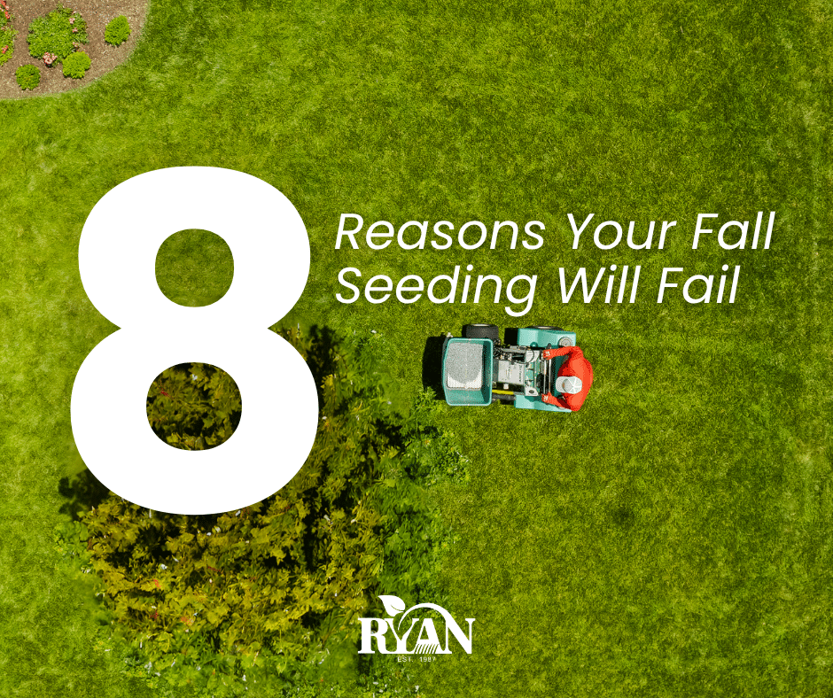 8 Reasons Your Fall Seeding Will Fail - RYAN Lawn & Tree